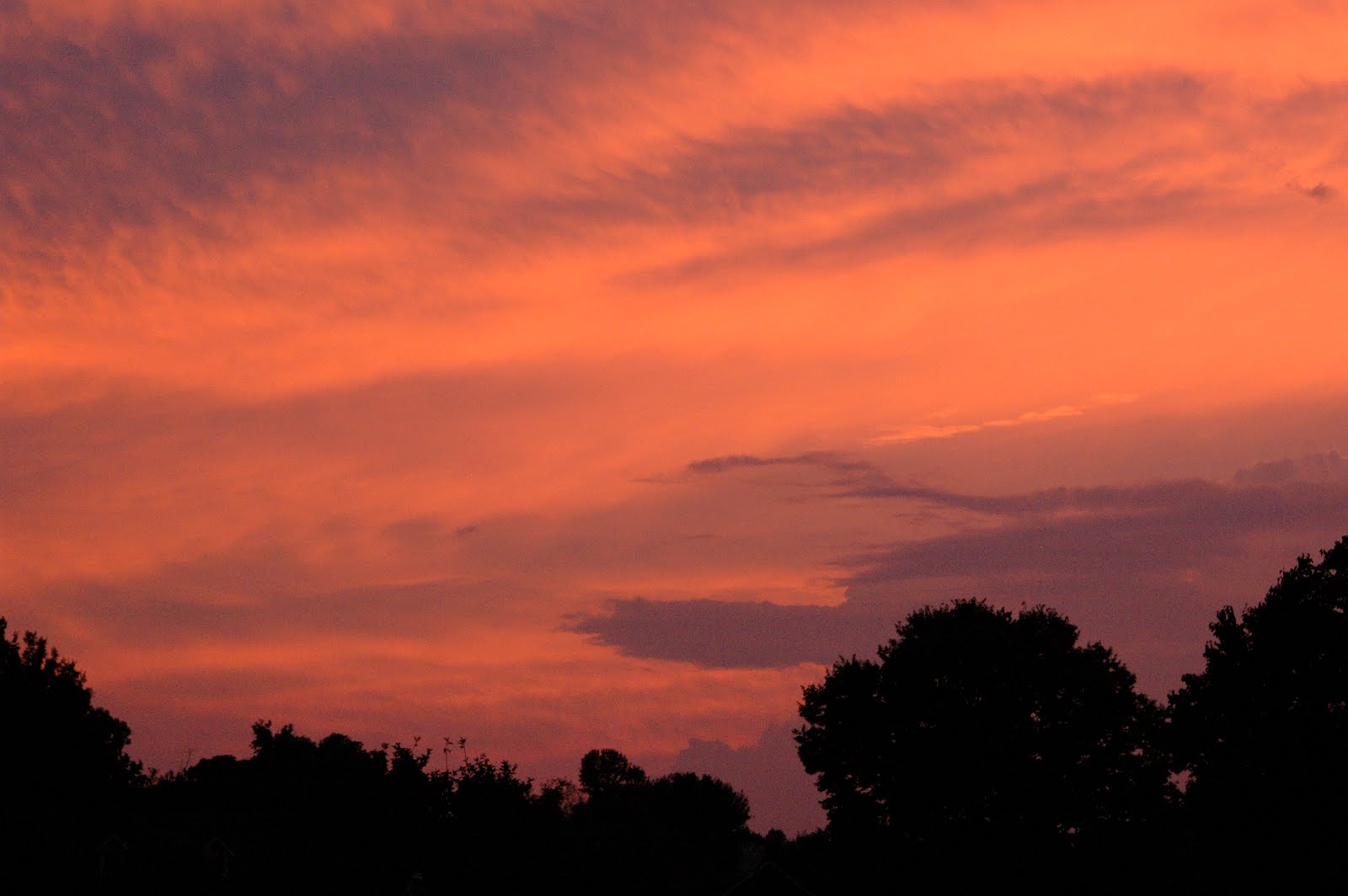 From Lens to Lens: Cool Skies