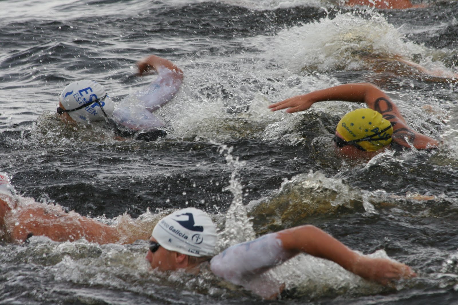 Open Water Swimming Almanac – Daily News of Open Water Swimming