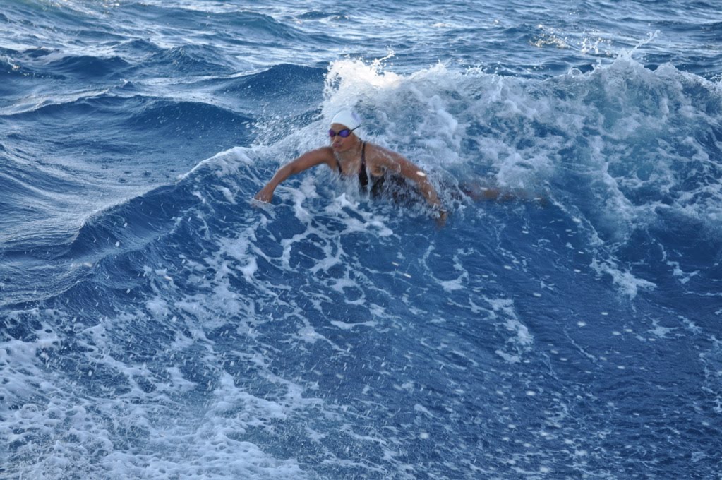 Open Water Source Contest Giveaway – World Open Water Swimming Association