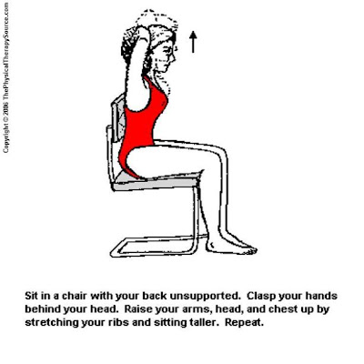 Thoracic Exercises from ThePhysicalTherapySource.com