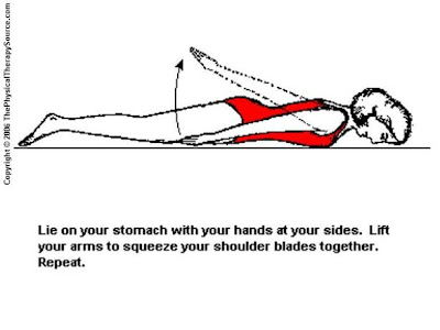 Thoracic Exercises from ThePhysicalTherapySource.com