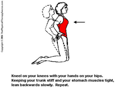 Trunk / Pelvis Exercises from ThePhysicalTherapySource.com