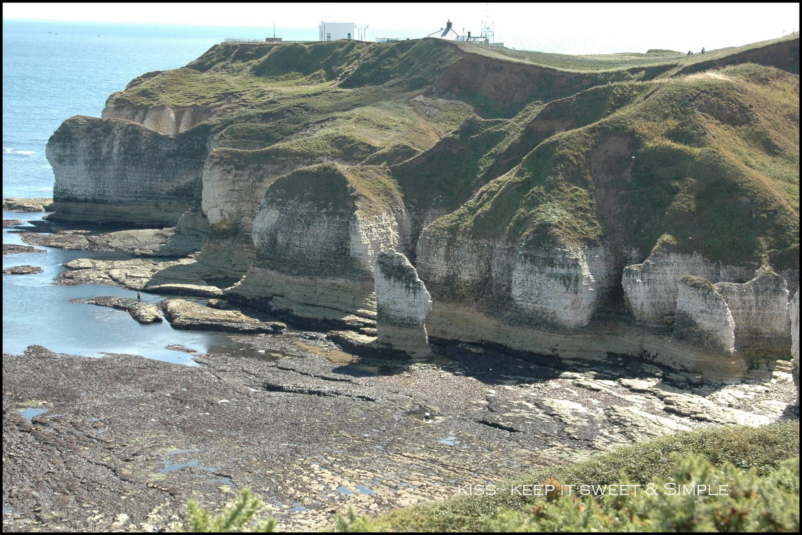 KISS - keep it sweet and simple: 01/08/2010 - 01/09/2010