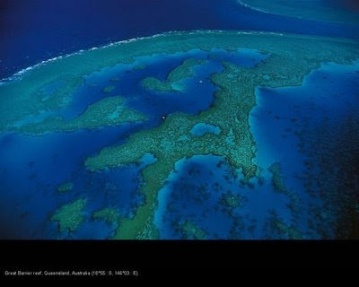 Nature Wonder: Birds Eye View of Australia