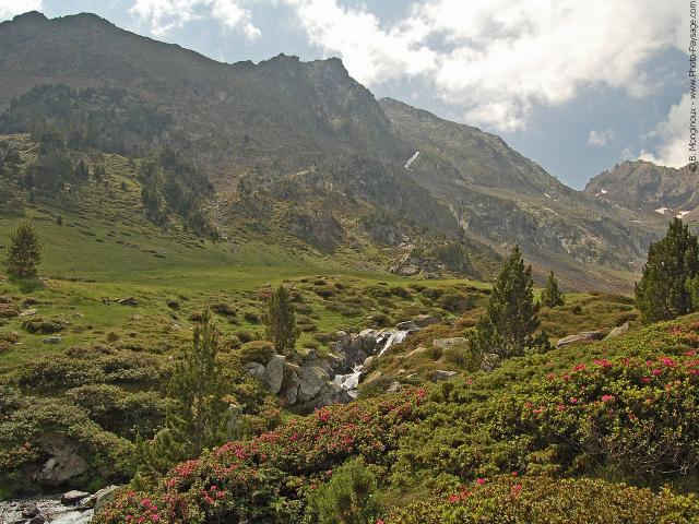 By Castle and River: Pyrenees Mountians
