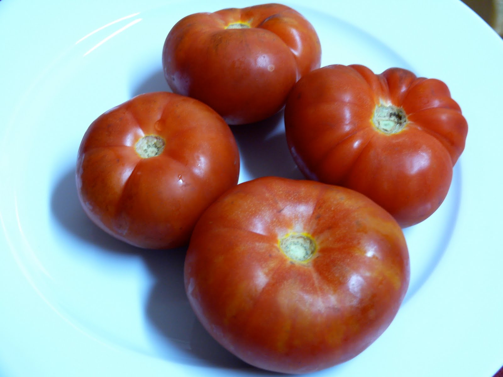 KABANOVA.Comedor: EL TOMATE, TODA UNA AVENTURA