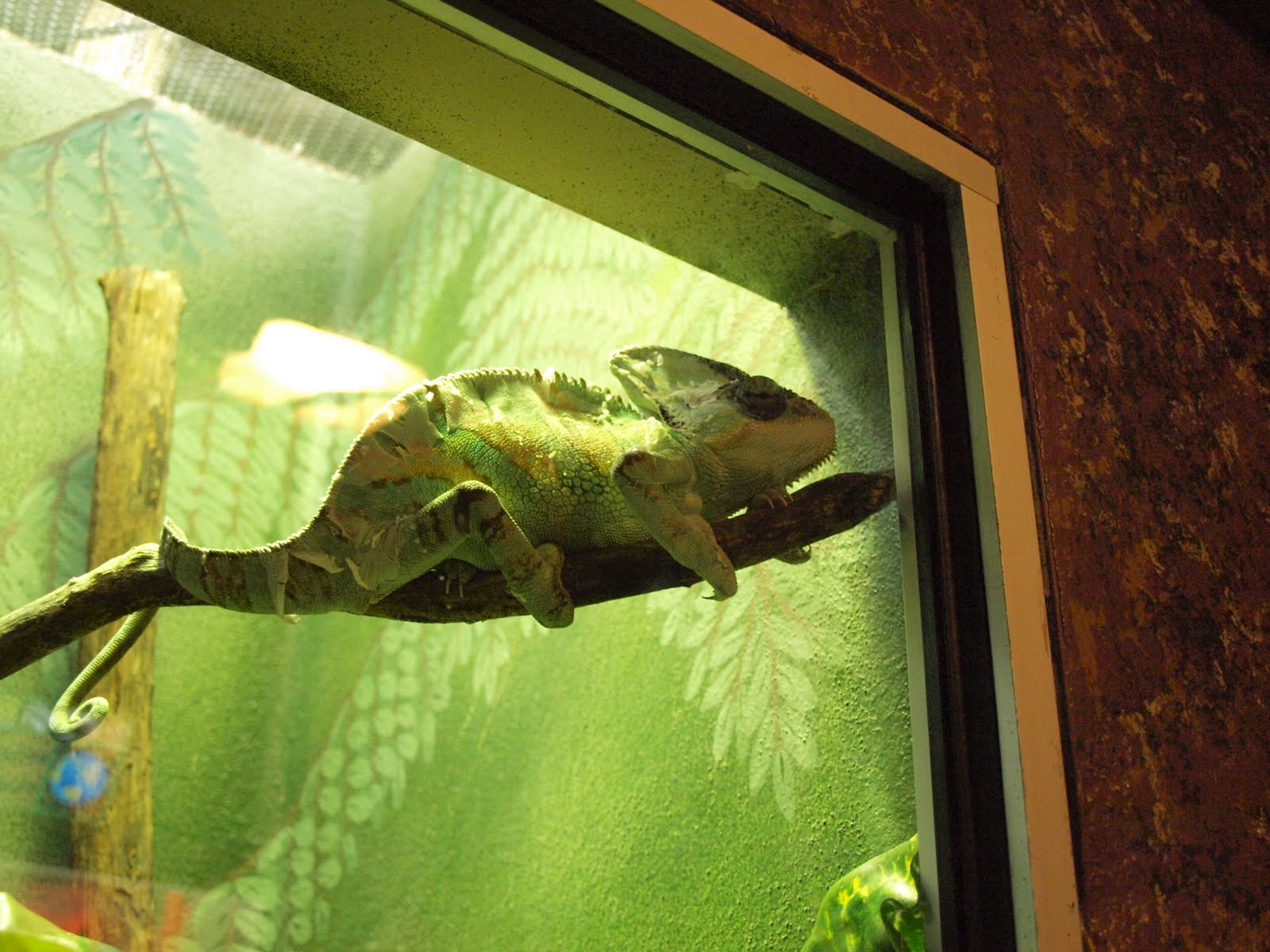 Life with the Woods: Zoo Trip 12 - John Ball Zoo - Grand Rapids - Part 3