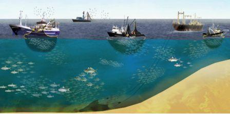 DAERAH PENANGKAPAN (FISHING GROUND)