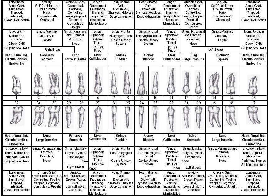 Be Well with Qigong: Teeth and the acupuncture channels