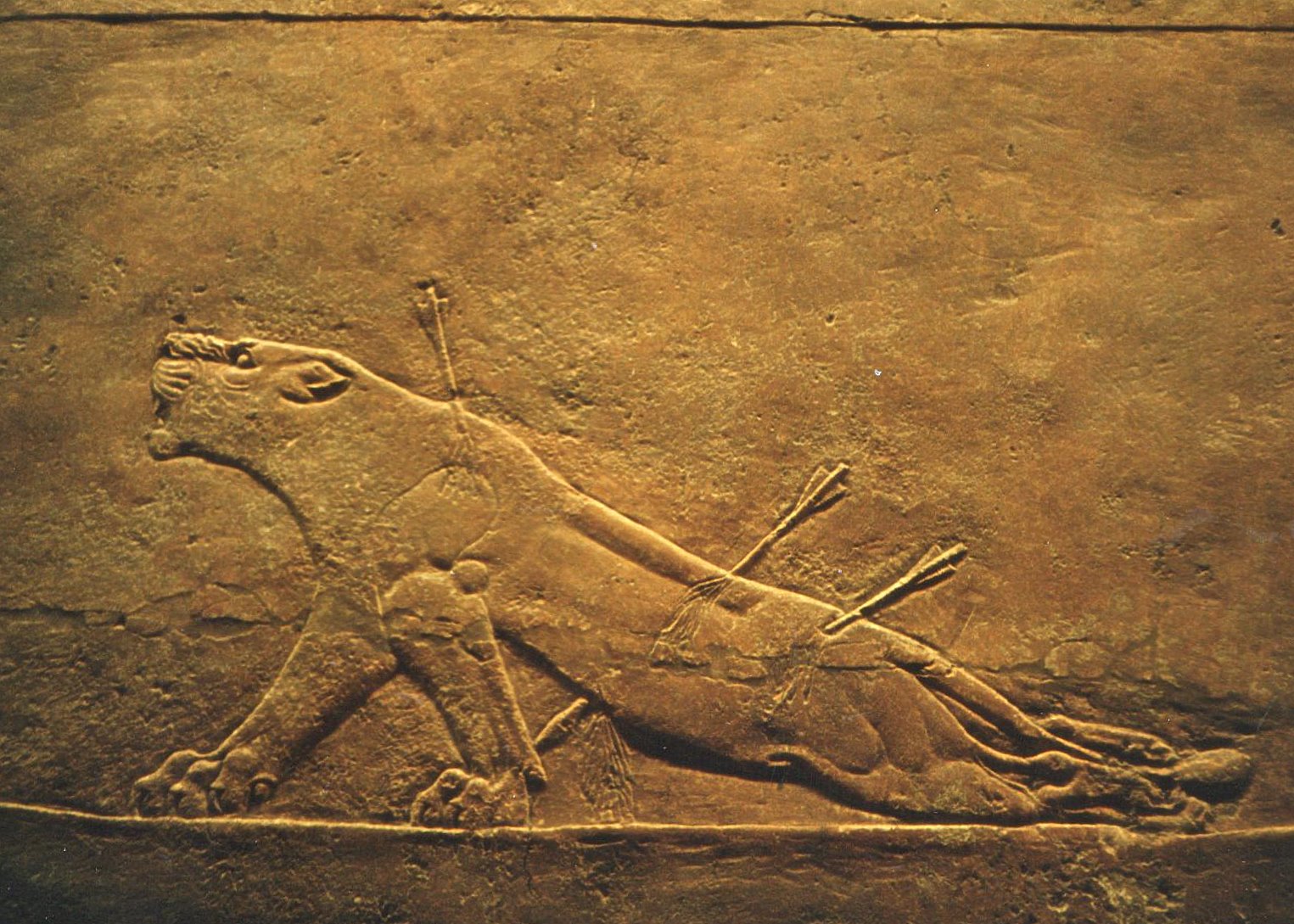 ArT-quitectura: LEONA HERIDA