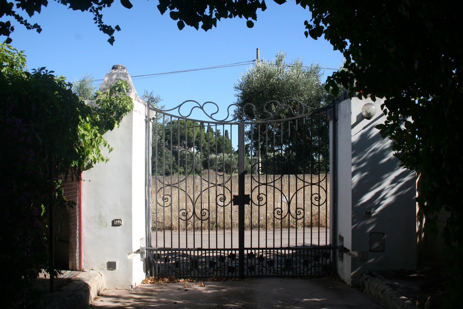 Villa San Vincenzo: James Gallimore - Pictures of the Garden