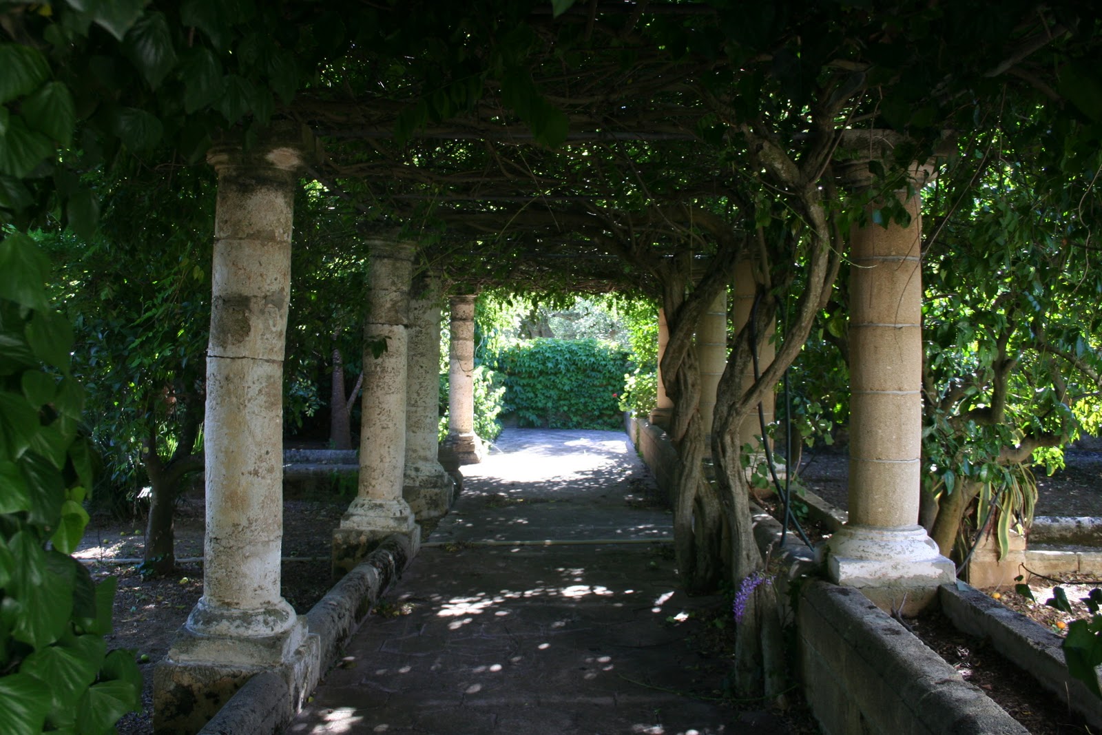 Villa San Vincenzo: James Gallimore - Pictures of the Garden