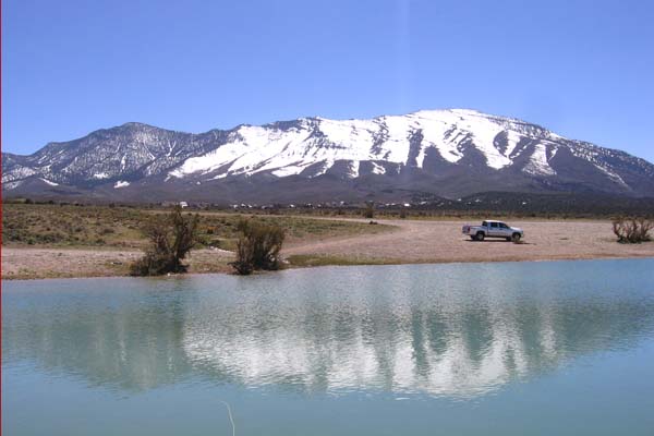 FisherDad: Cold Creek Pond, Clark County, NV