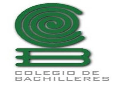 Proyecto Interdisciplinario 2010-I: COBACH 5