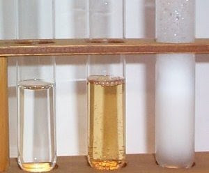 Uji Enzim Katalase | BIOLOGIPEDIA