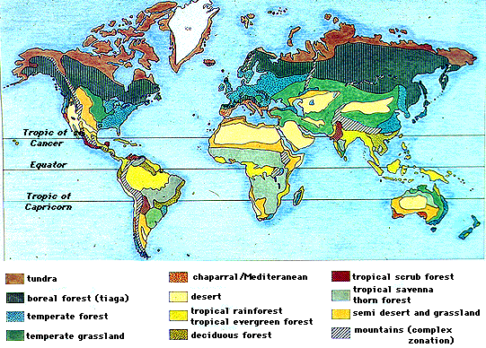 Bioma | BIOLOGIPEDIA