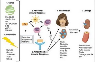 Patogenesis | BIOLOGIPEDIA