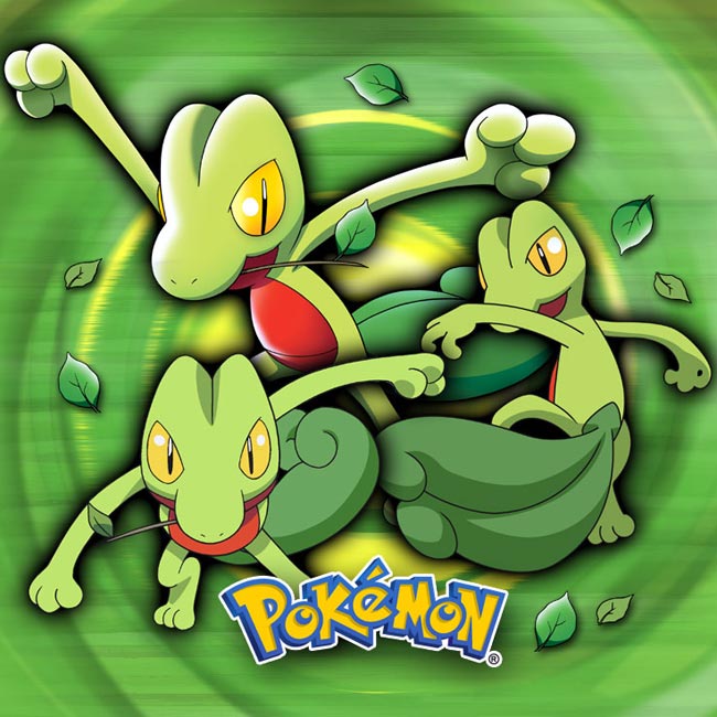 POKEMONS: treecko