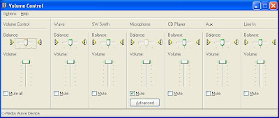 Vishal Mistry: Shrink the Windows XP Volume Control