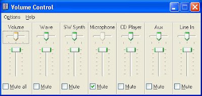 Vishal Mistry: Shrink the Windows XP Volume Control