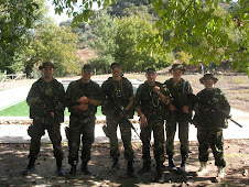 CD. AIRSOFT ALCALA: M134A2 Vulcan Minigun Airsoft Gatling Replica