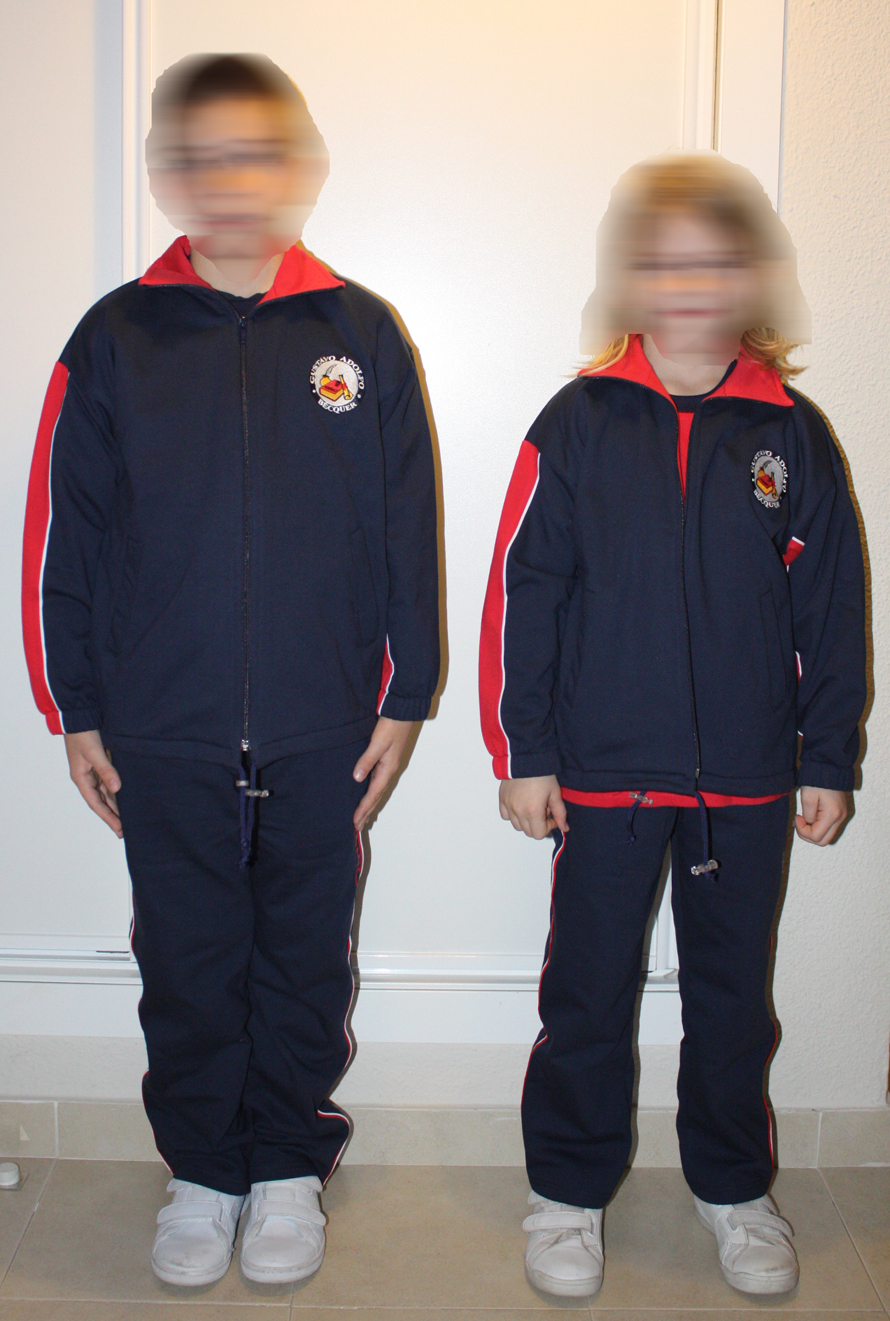 AMPA C.P. Gustavo Adolfo Bécquer: enero 2011