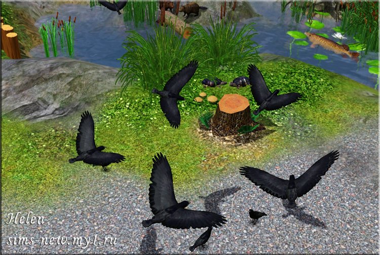 Mod The Sims - WCIF: CROWS or Ravens