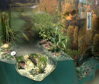 Cuaderno de Campo y Taller: Diorama del curso alto del río Tajo