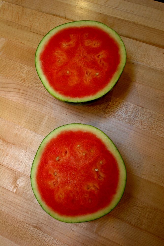 Professional Wedding and Event MC and DJ: Carl Cooks: Surprising ...