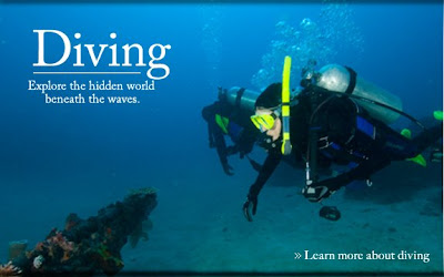 ~~ The World ~~: Scuba Diving-Explore The Hidden World Beneath The ...