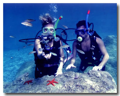 ~~ The World ~~: Scuba Diving-Explore The Hidden World Beneath The ...