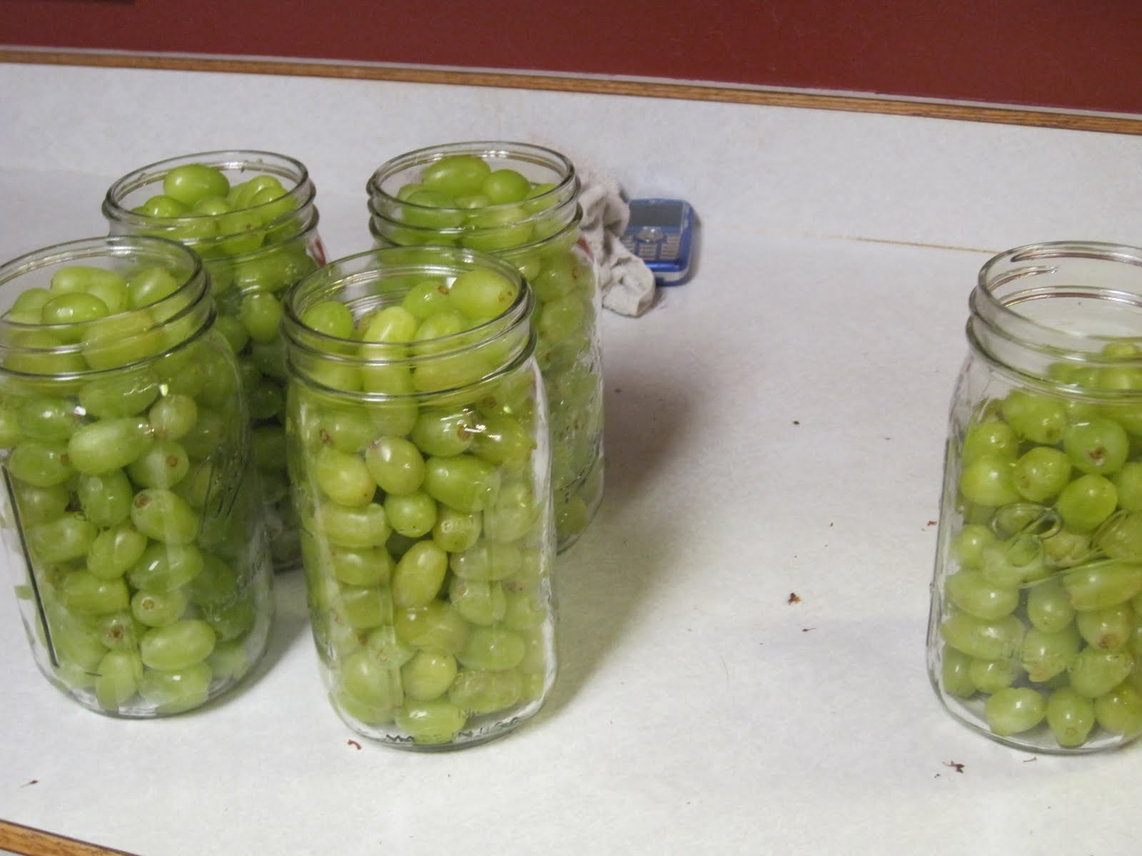 Andie Pandie!: Canning Grapes