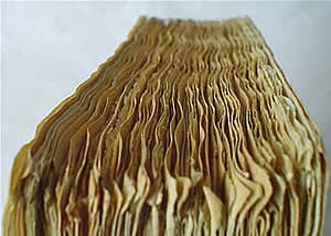 Delicious Reads: Deckle Edges Explained