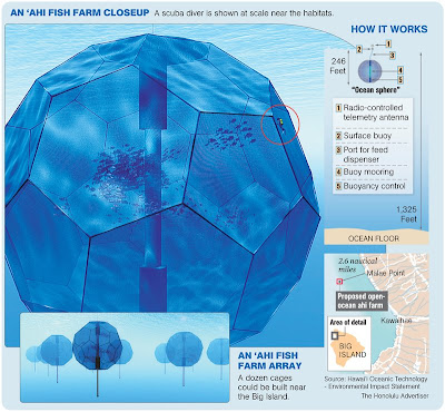 Maximizing Progress: Ocean Ranching ~ Sustainable Aquatechnology?