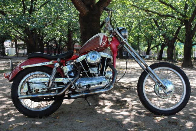 ZZ chop: Sweet sportster