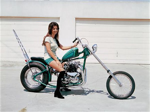Zz Chop Chopper Chick