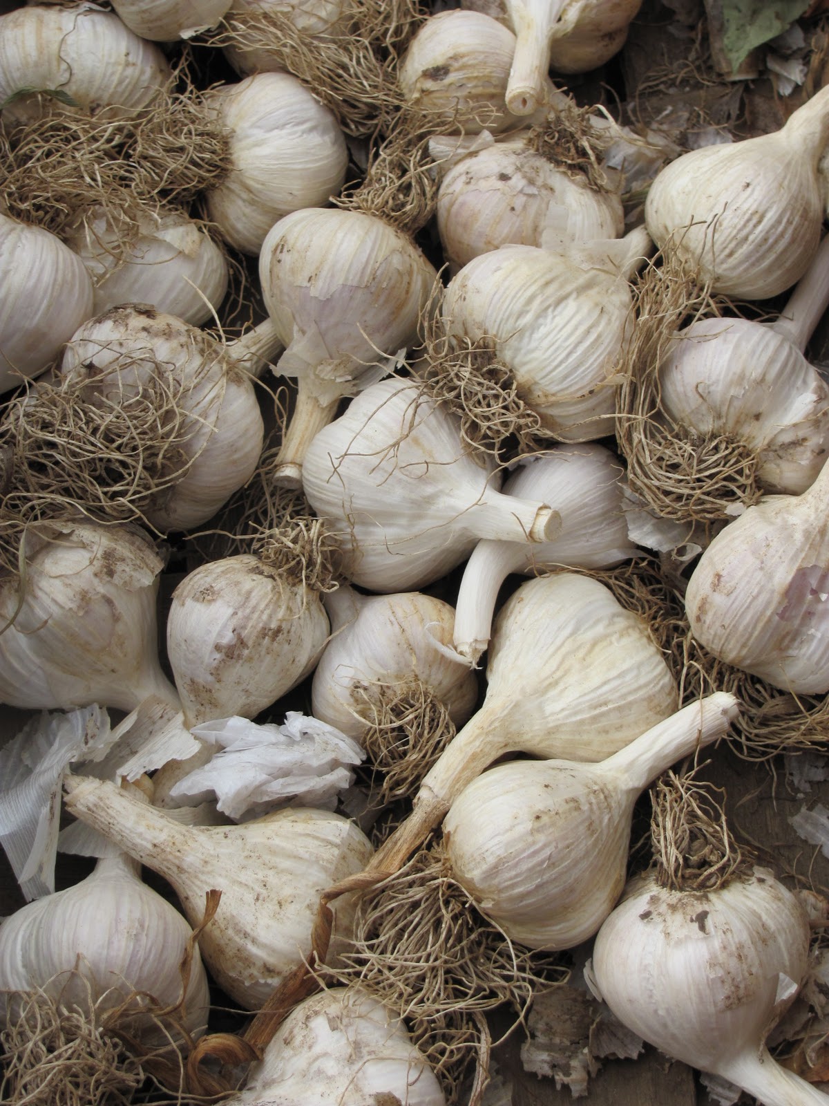 What's Cooking in your World?: Day 61! Gambia (Africa) - Chicken and ...