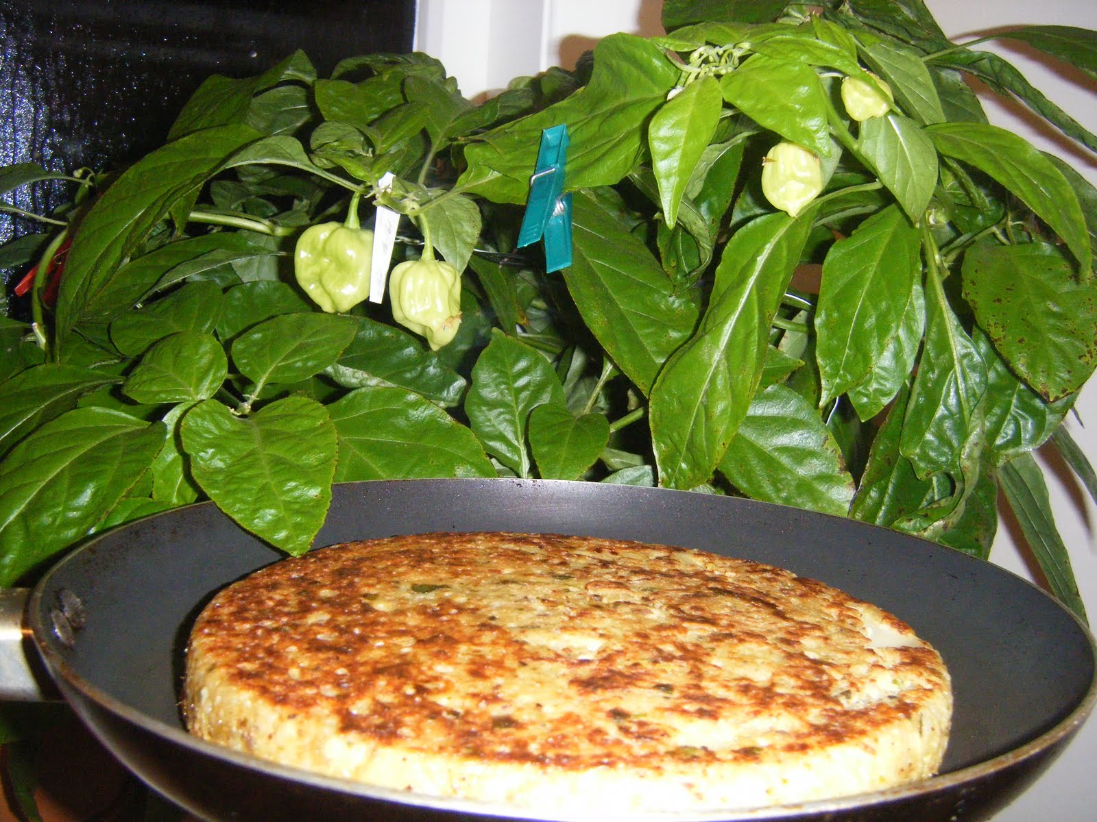 HEDHIKAA ( SHORT EATS )