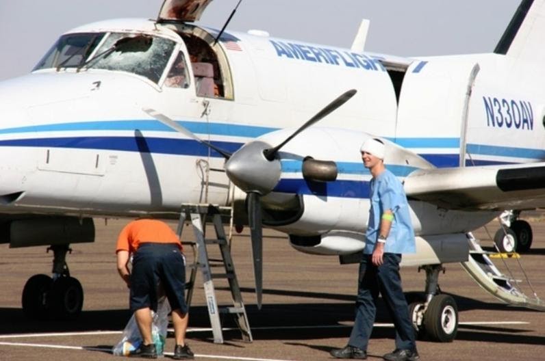 Bird Strike News: Bird Strike near Show Low, AZ Injures Pilot and ...