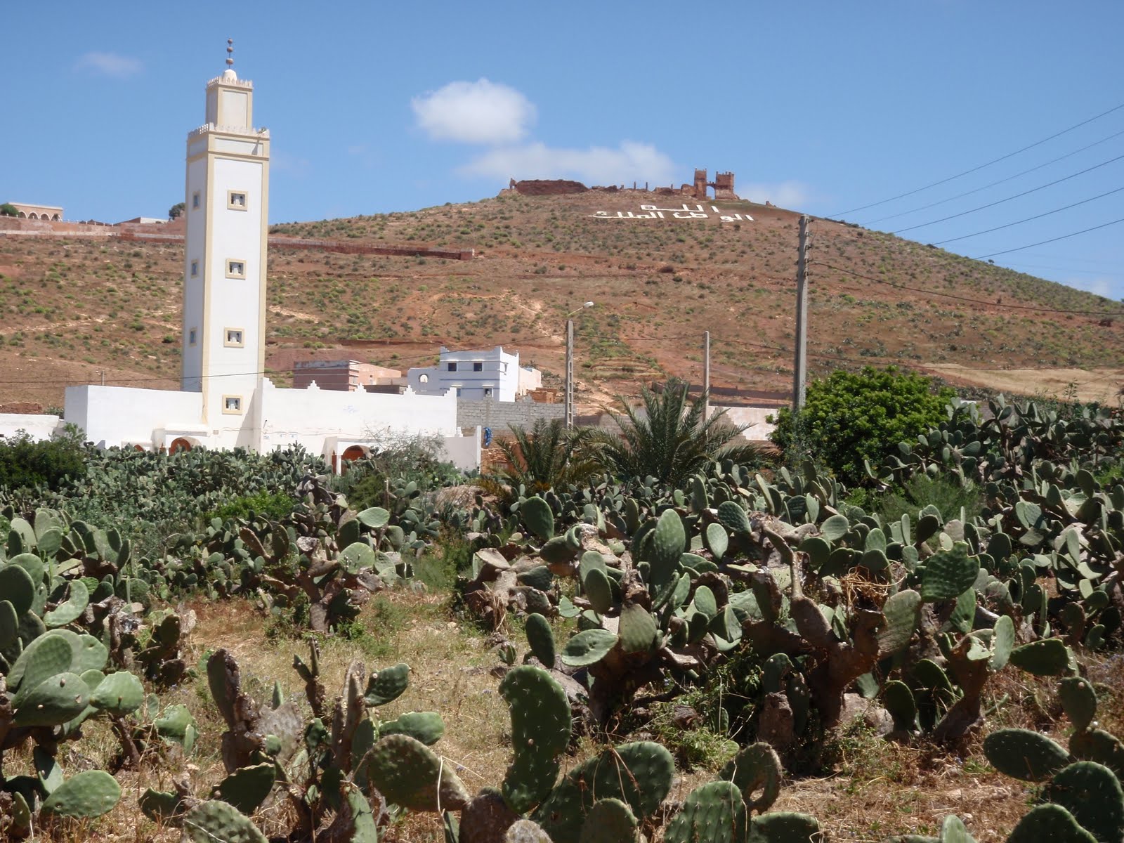 Swimming Around the World: Returning to Mirleft, Morocco