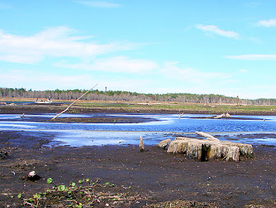 PURE FLORIDA: The Bottom Line On Rodman Reservoir