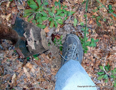 PURE FLORIDA: Nut Envy