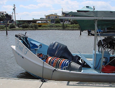 PURE FLORIDA: Bird Dog Boats