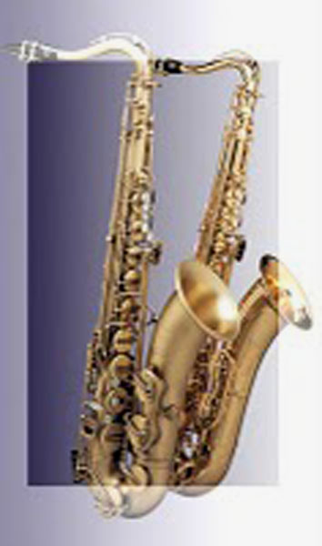 Tina Saxophone Music Gallery: INI SAXOPHONE, NECK, BODY DAN BELL