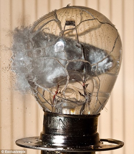 Hilarious photography of explosive bullets power captures by U.S ...