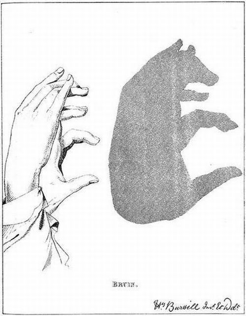 incredible Shadowgraphy Art ~ AMAZING-ARTS