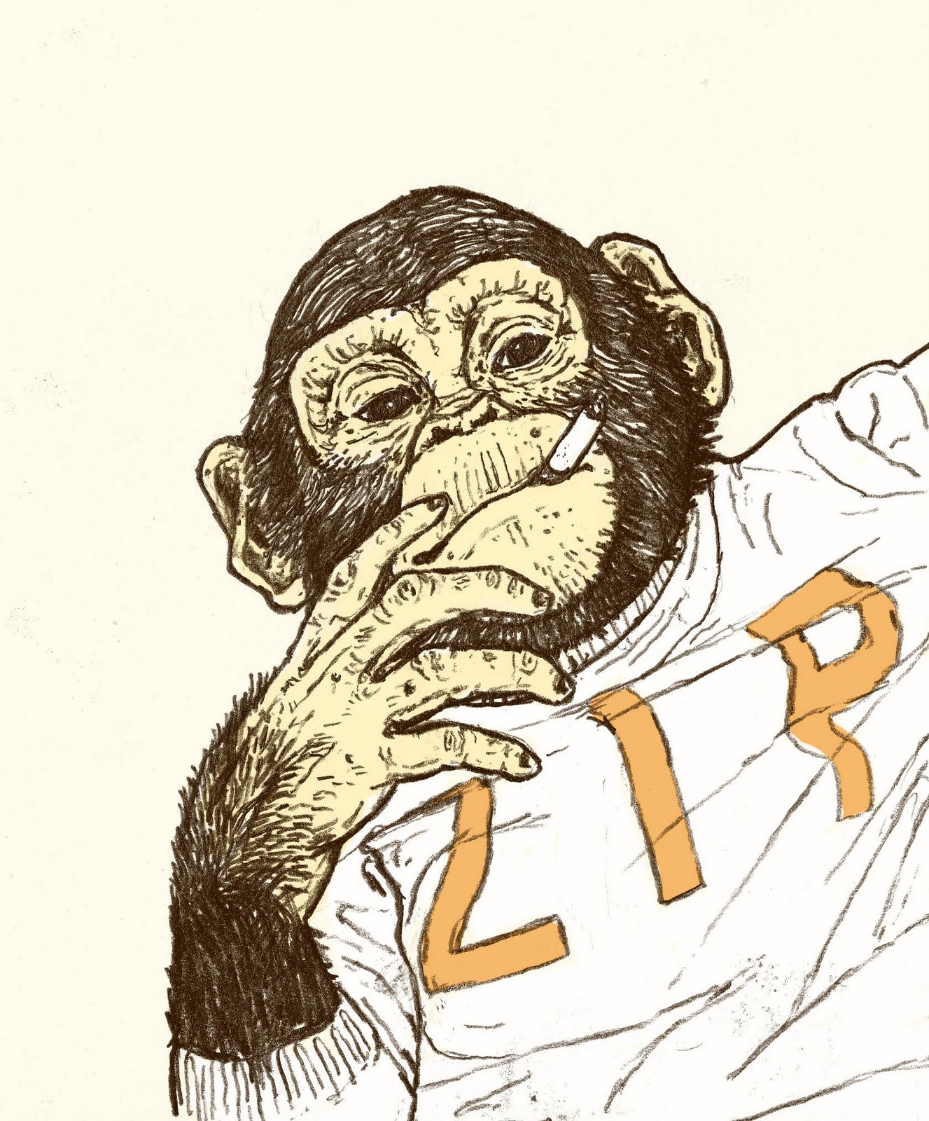 Jack Gilliland Illustration: Oooh... Chimpanzee that
