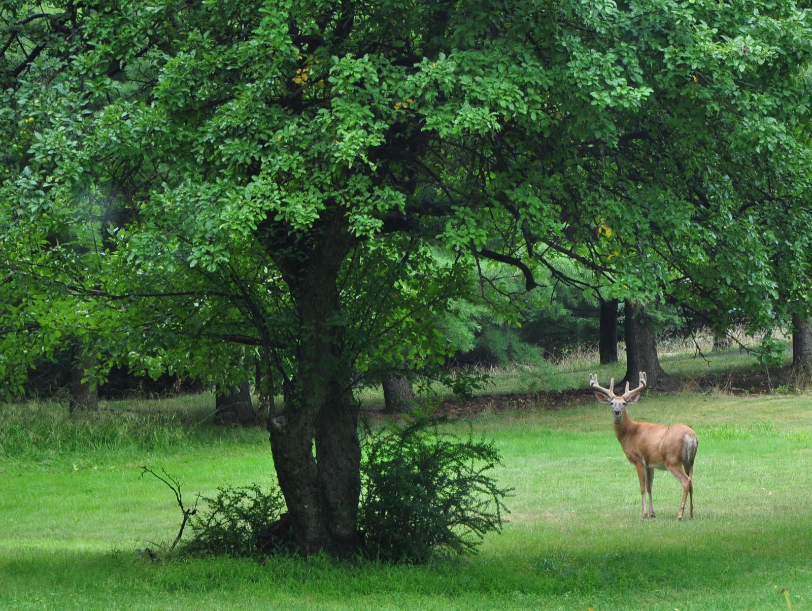 Passinthru Outdoors: Smallmouth fishing on the Delaware River