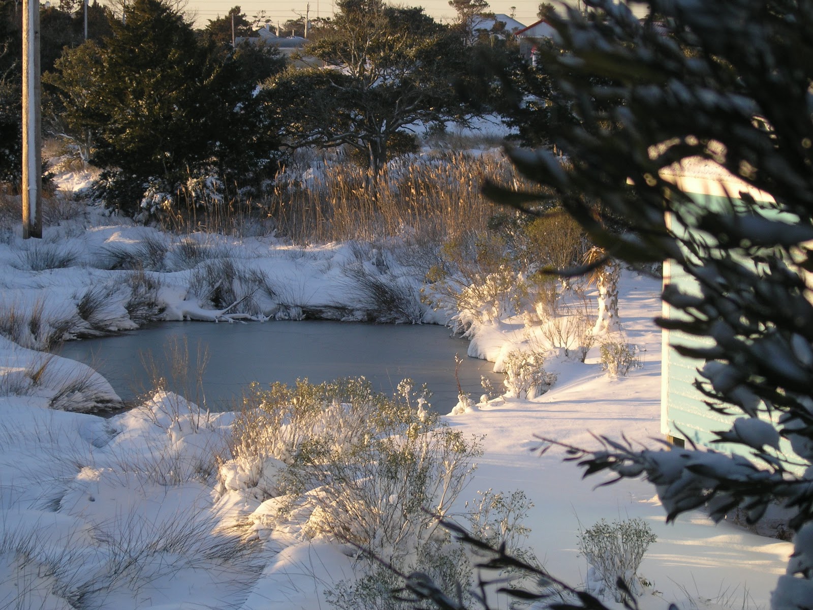 Wheats eye on Hatteras Island, N.C.: The Great Buxton Blizzard of 2011