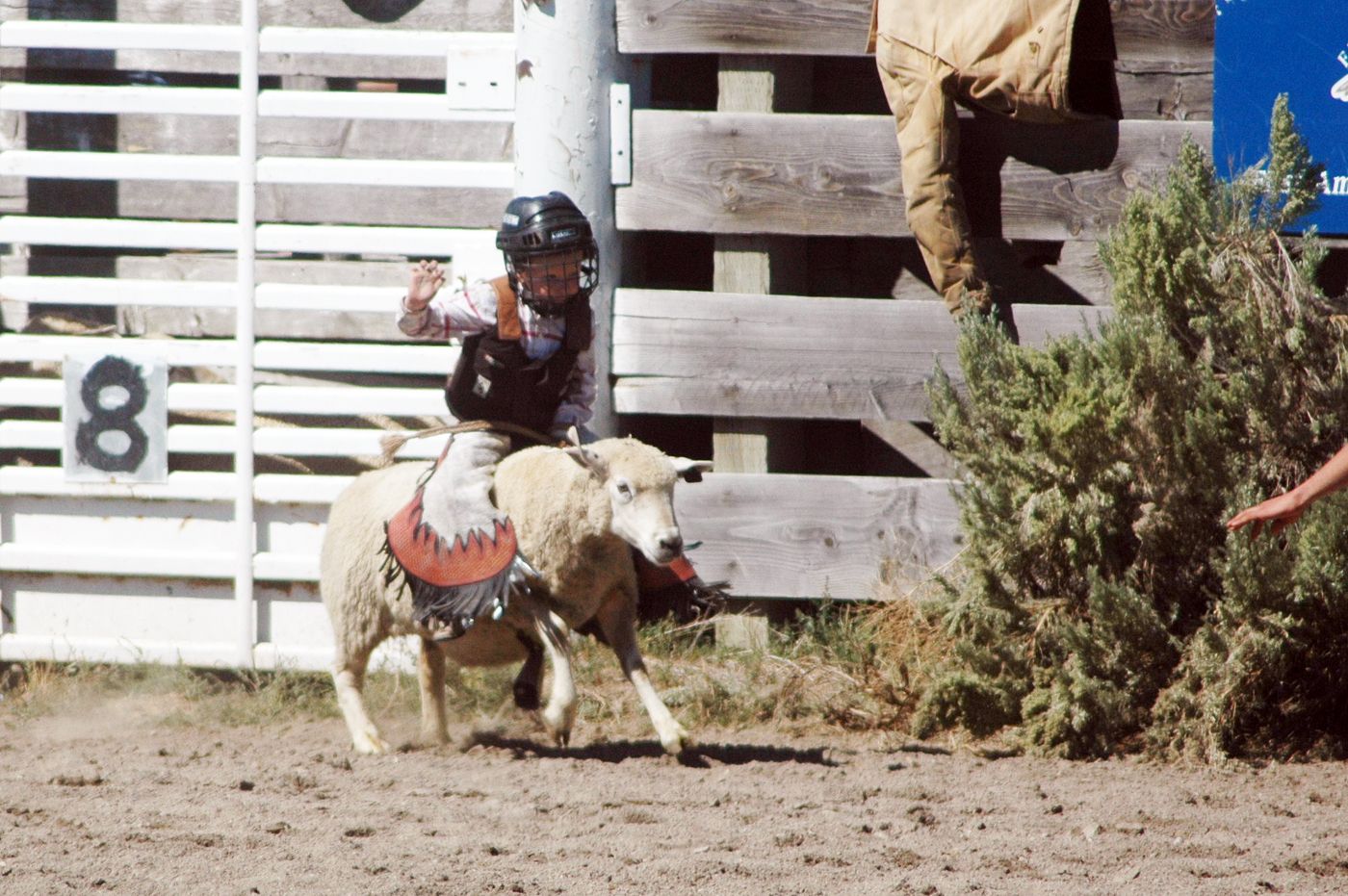 Happy Trails: DuBoise Idaho Rodeo